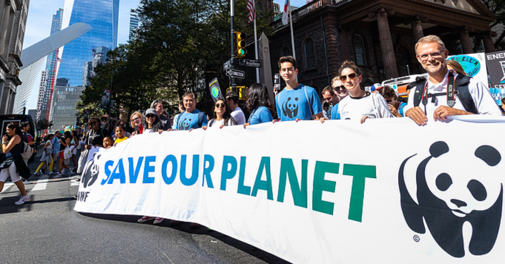 World Wildlife Fund (WWF) Internship Program 2026: Launch Your ...